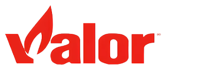 Dexen Electronic Ignition Control Module – Fire-Parts.com